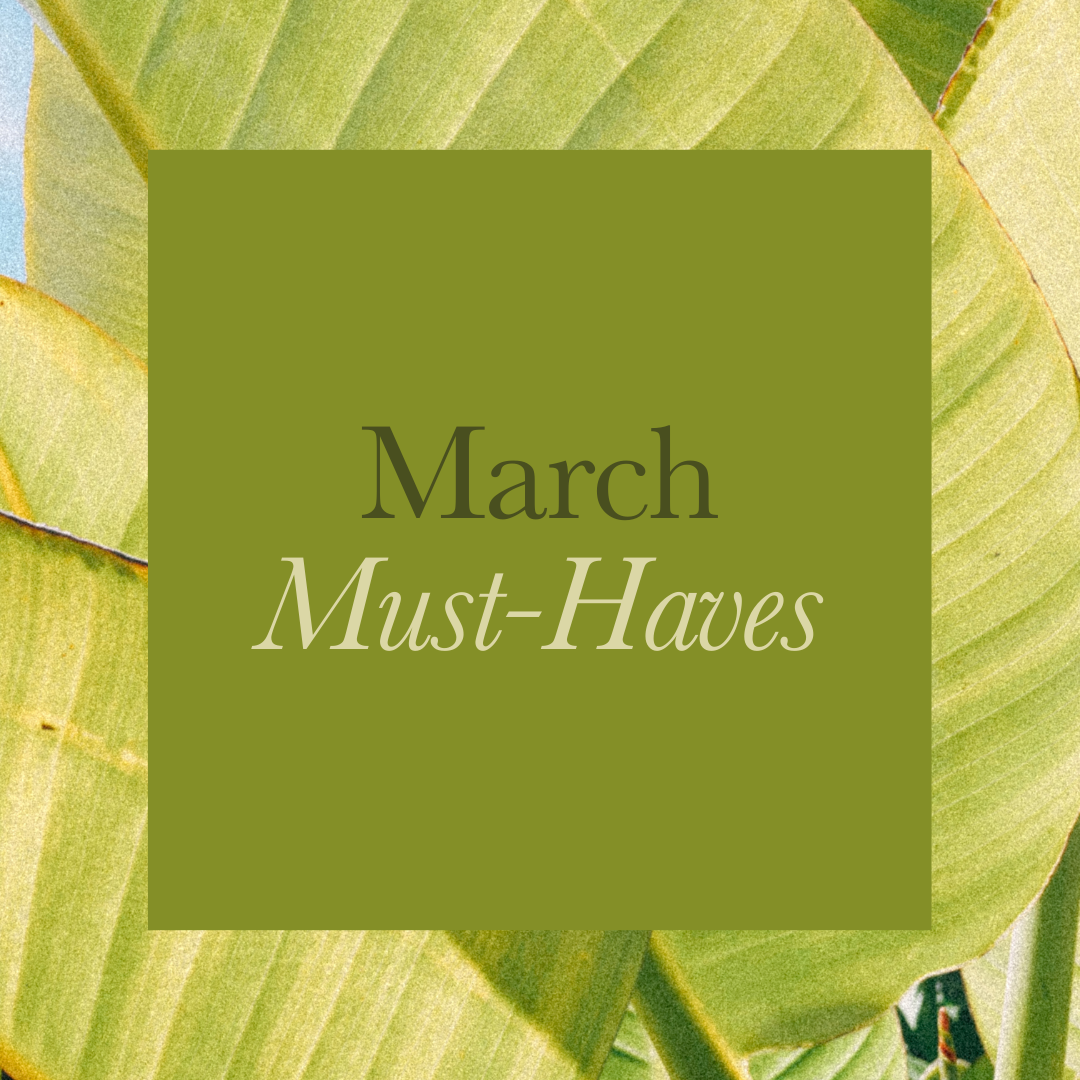March Must-Haves | Park Plaza